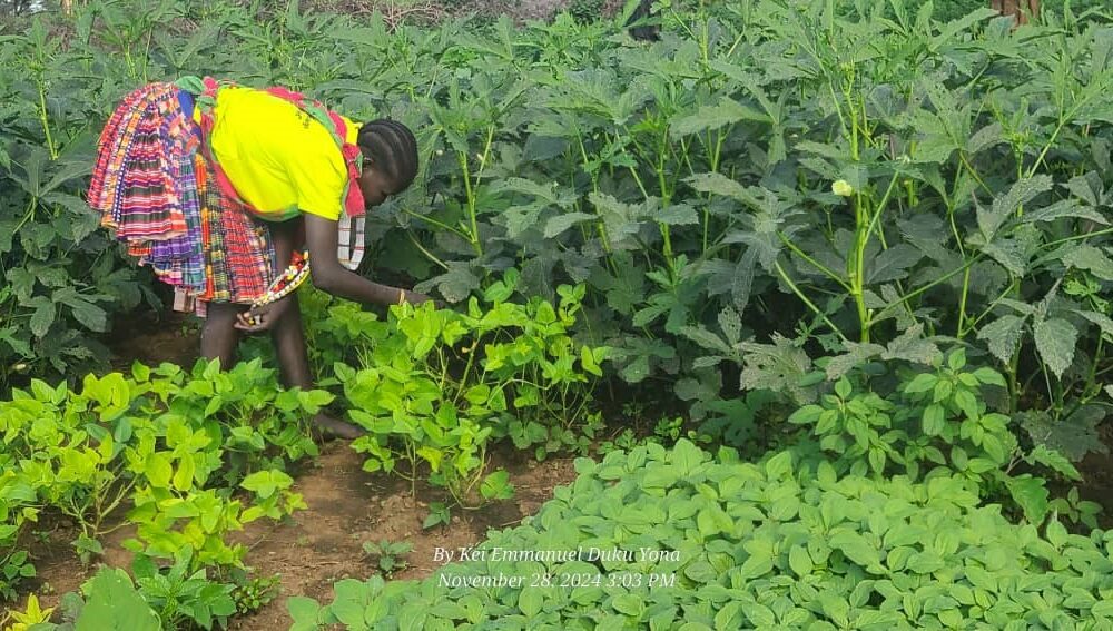 Lack of research centers cripples South Sudan’s fight against pests